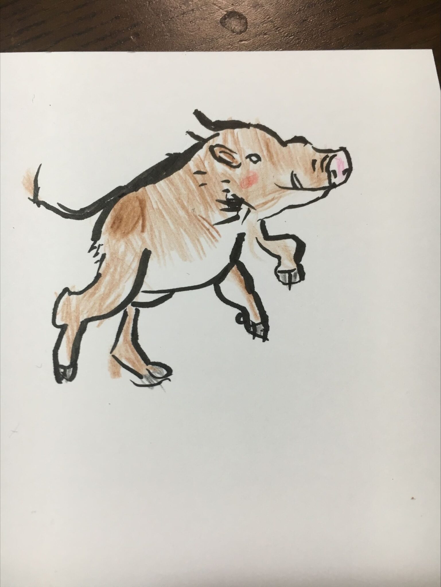 難病でLDがあっても ハッピーに生きる ＃1 | カラフルバード～CBLD～