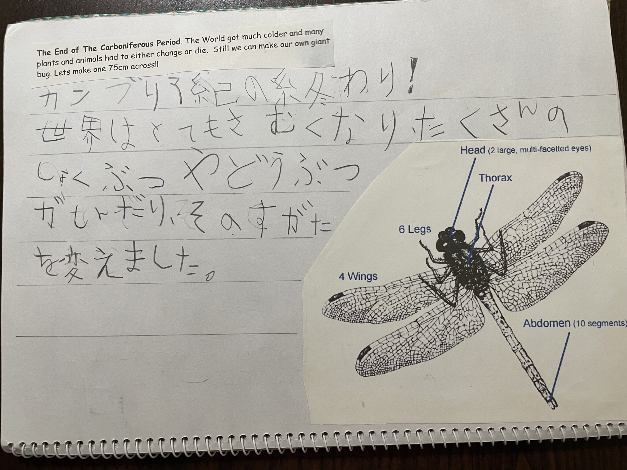 LDの子の文字画像 | カラフルバード～CBLD～